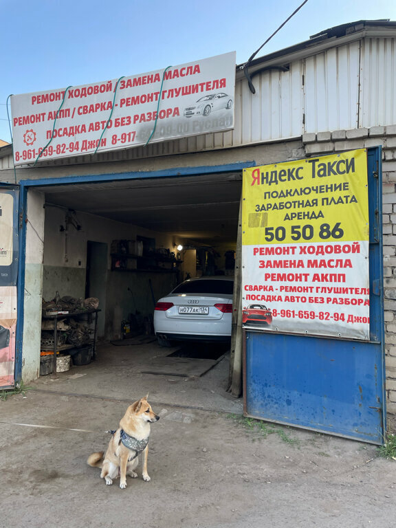 Otomobil servisi Шиномонтаж, Volgograd, foto