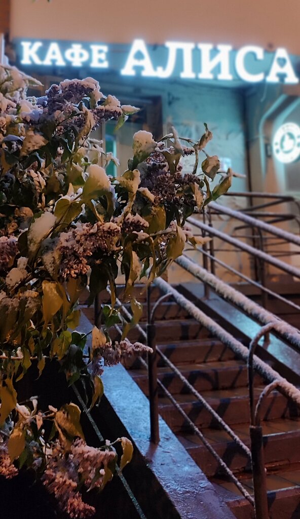 Kahve dükkanları АлисА, Moskova, foto