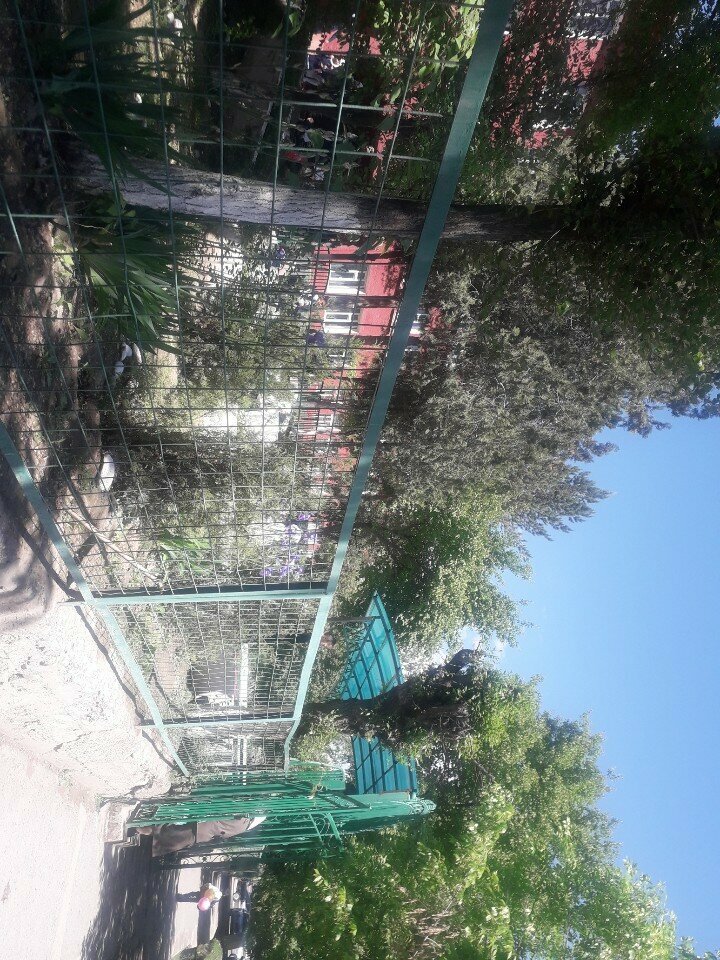 Ortaokul School, Osh, foto