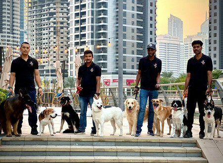 Pawsome Friends Dog Daycare & Boarding Grooming Cattery Dog Training ...