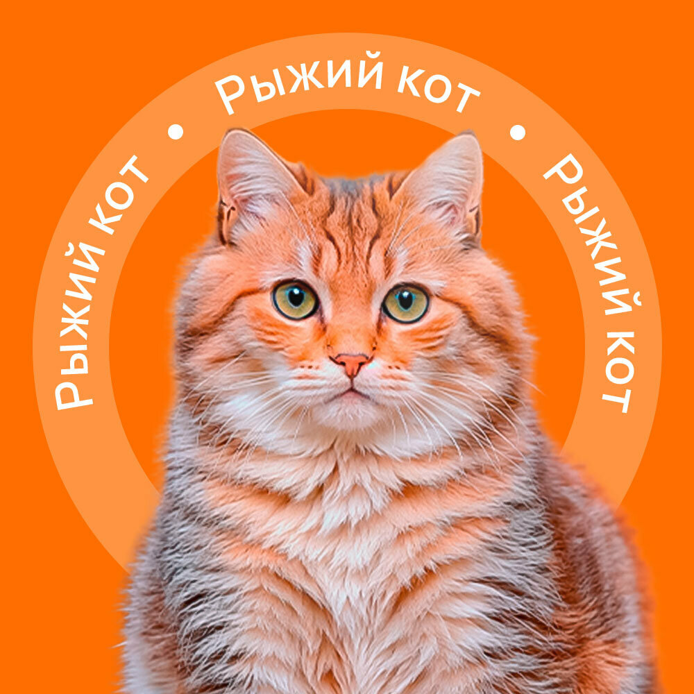 Temizlik şirketleri Рыжий Кот, Moskova, foto