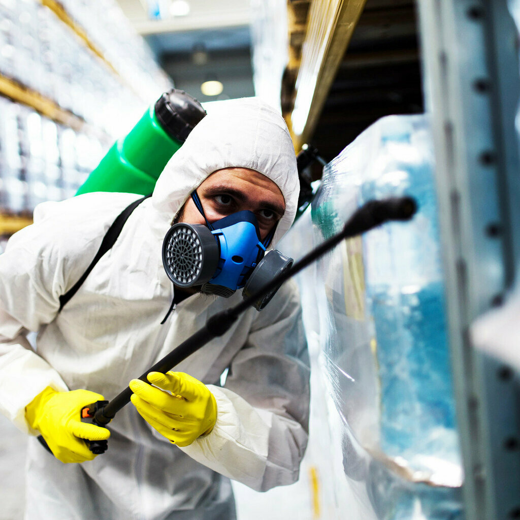 Haşere ilaçlama firmaları Dezinfektsionny tsentr, Novosibirsk, foto