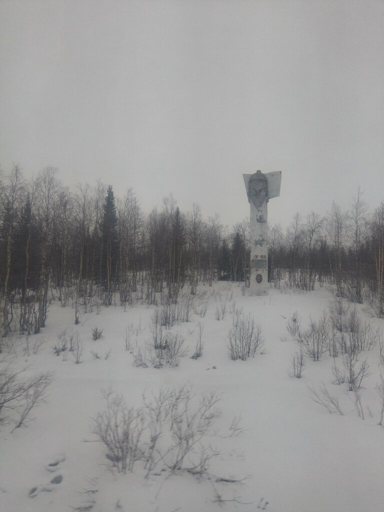 Anıt, heykel Обелиск воинам-односельчанам, Krasnoyarski krayı, foto