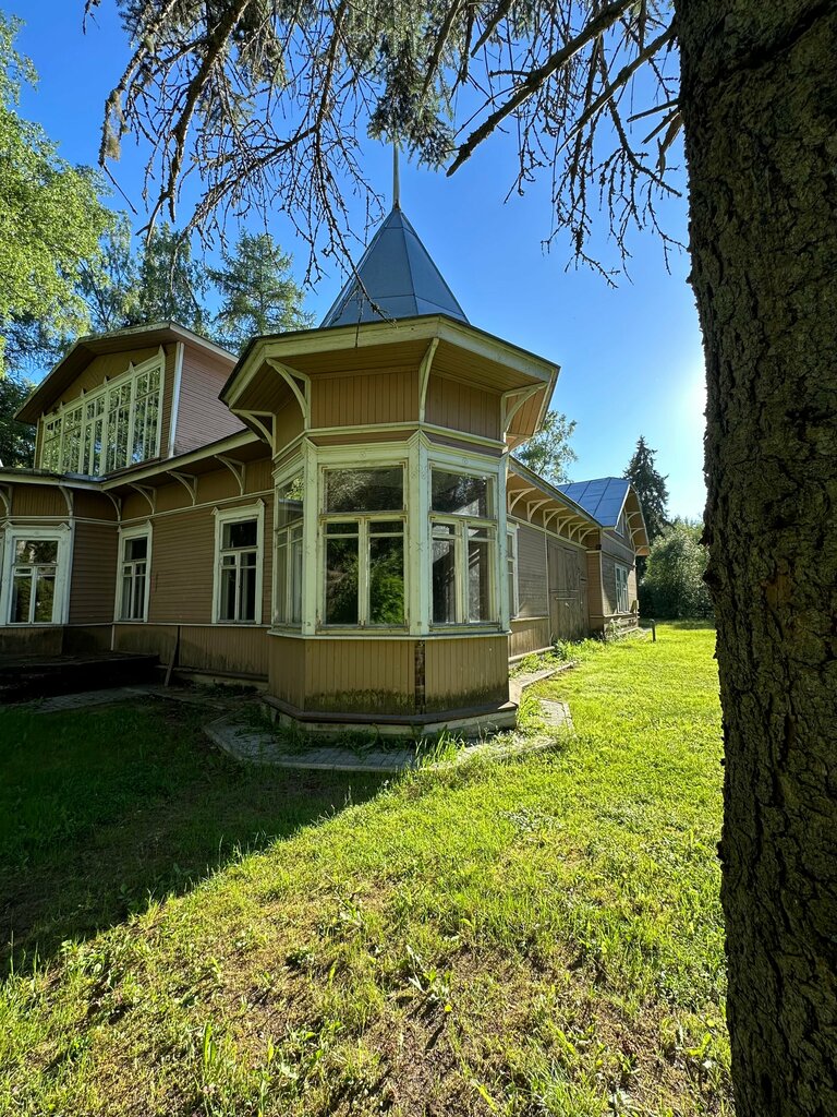 Turistik yerler Дача купца К.С. Богданова, Zelenogorsk, foto