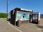 Мороженое (Krasnoyarsk Urban District, Tsentralniy City Administrative District, park Tsentralnaya Naberezhnaya), dondurmacılar  Krasnoyarsk'tan