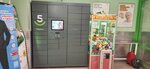 5Post (Komitetskiy Les Street No:2А, Bolshevo Microdistrict), parsel otomatı  Koroliov'dan