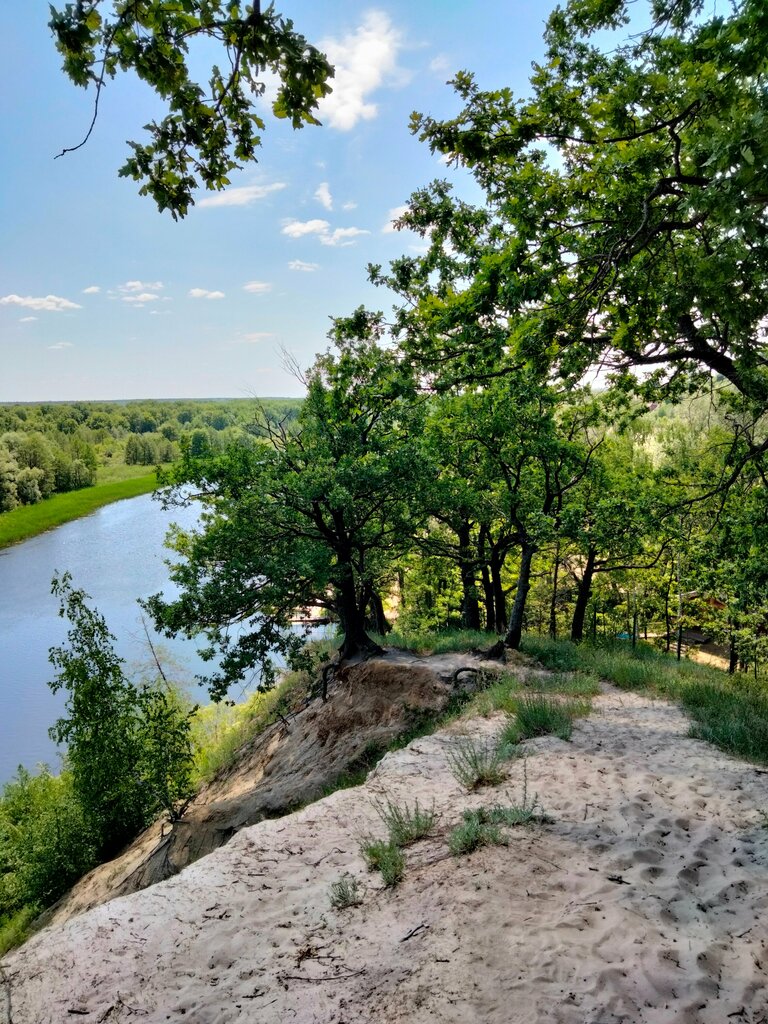 Dağ zirvesi Гора Баркова, Voronejskaya oblastı, foto