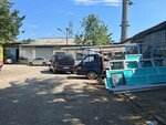 Fish and seafood (Gagarina Street No:72/1А), balık ve deniz ürünleri  Soçi'den