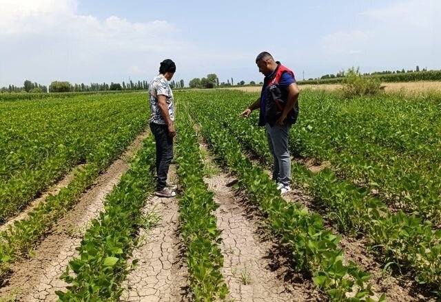 Belediyeler, devlet daireleri Aralık İlçe Gıda Tarım ve Hayvancılık Müdürlüğü, Aralık, foto
