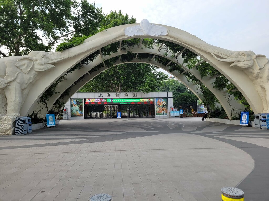Hayvanat bahçeleri Zoo, Şanghay, foto