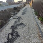 Tambovagropromdorstroy (Bastionnaya ulitsa No:23), yol yapımı ve bakımı  Tambov'dan
