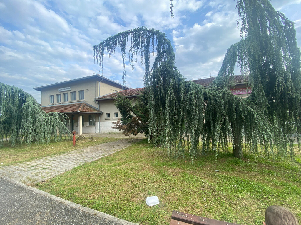 Tren istasyonu станция Даниловград, Dünya, foto