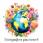 Nash Cvetochniy (Zavodskaya ulitsa No:1/2, posyolok gorodskogo tipa Kryukovo), çiçekçiler  Moskova ve Moskovskaya oblastından