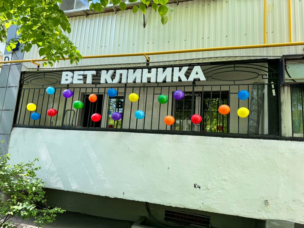 Veteriner klinikleri Gos-Vet, Moskova, foto