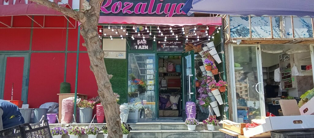 Market Meyve Bazarı, Bakü, foto