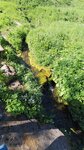 Spring, stream (Saint Petersburg, park Krasnoye Selo), pınar, çay  Krasnoye Selo'dan