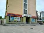 Atmosphere Laboratory (Máńgilik El kóshesi No:9), çevre dernekleri  Semey'den