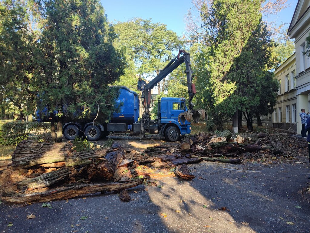Bina yıkım hizmetleri Ip Platonov G. G спил деревьев благоустройство территорий, Taganrog, foto