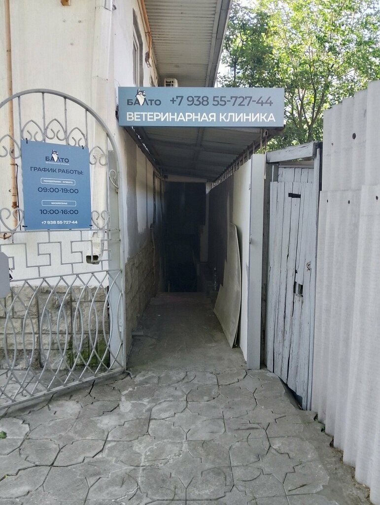 Veteriner klinikleri Балто, Novorossiysk, foto