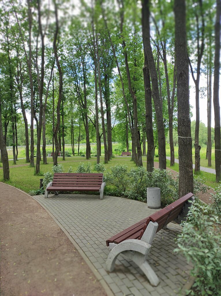 Kültür ve eğlence parkları сквер имени Зайцева, Lyuban, foto