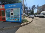Славица (Voronezh, mikrorayon Novy), dondurmacılar  Voronej'den