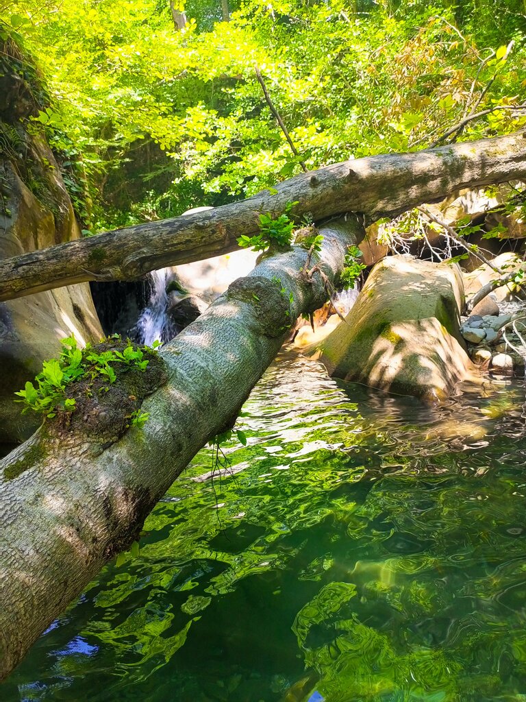 Şelale Waterfall, Soçi, foto