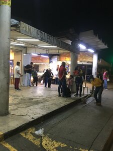 Transport Terminal (Valle del Cauca, Municipio de Santiago de Cali, Comuna 2, San Vicente), müzeler ve sanat galerileri  Cali'den