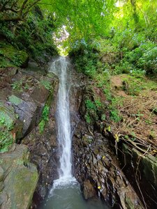 Waterfall (Autonomous Republic of Adjara, Kobuleti Municipality, Village of Tsikhisdziri), şelale