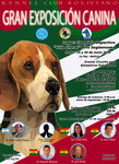 Kennel club boliviano (Department of La Paz, Provincia Murillo, La Paz, Centro, Miraflores Stadium, Calle Panamá, 1512), devlet kurumları ve bakanlıklar  La Paz'dan