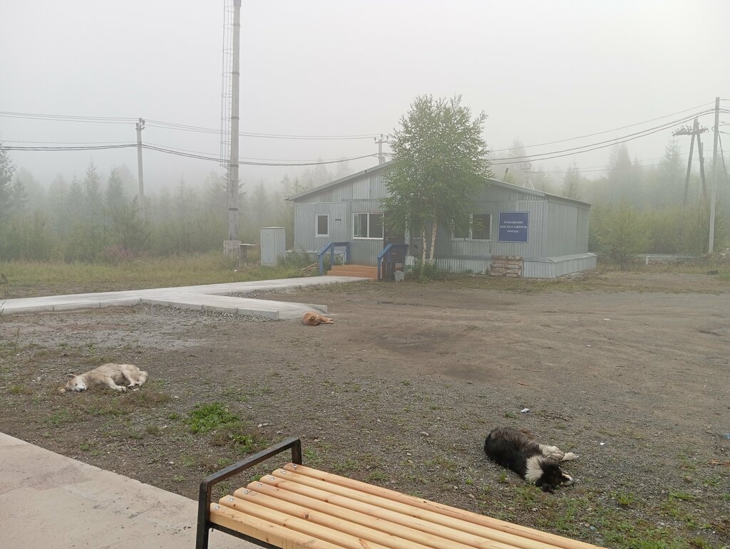 Tren istasyonu СТ. Чульман, Saha Cumhuriyeti (Yakutistan), foto