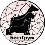 BestGroom (Nikitina Street No:15А), evcil hayvan kuaförleri  Tomsk'tan