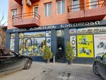 ნაწილები (Agmashenebeli Alley No:89), otomobil yedek parçaları  Tiflis'ten