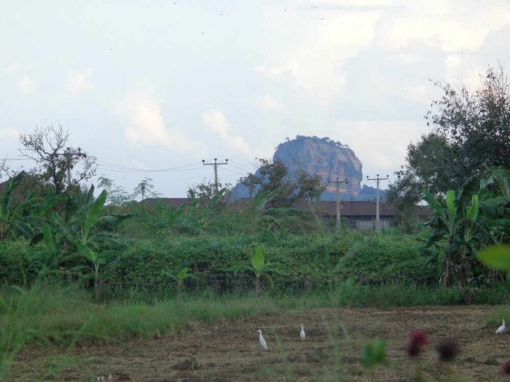 Otel Sigiriya vista, , foto