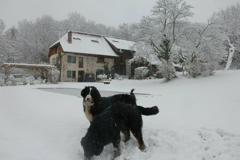 Otel Le Clos des Frasses, , foto