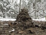 Spring, stream (Chuvash Republic, Cheboksary, ovrag Beznadezhny), pınar, çay  Cheboksary'den