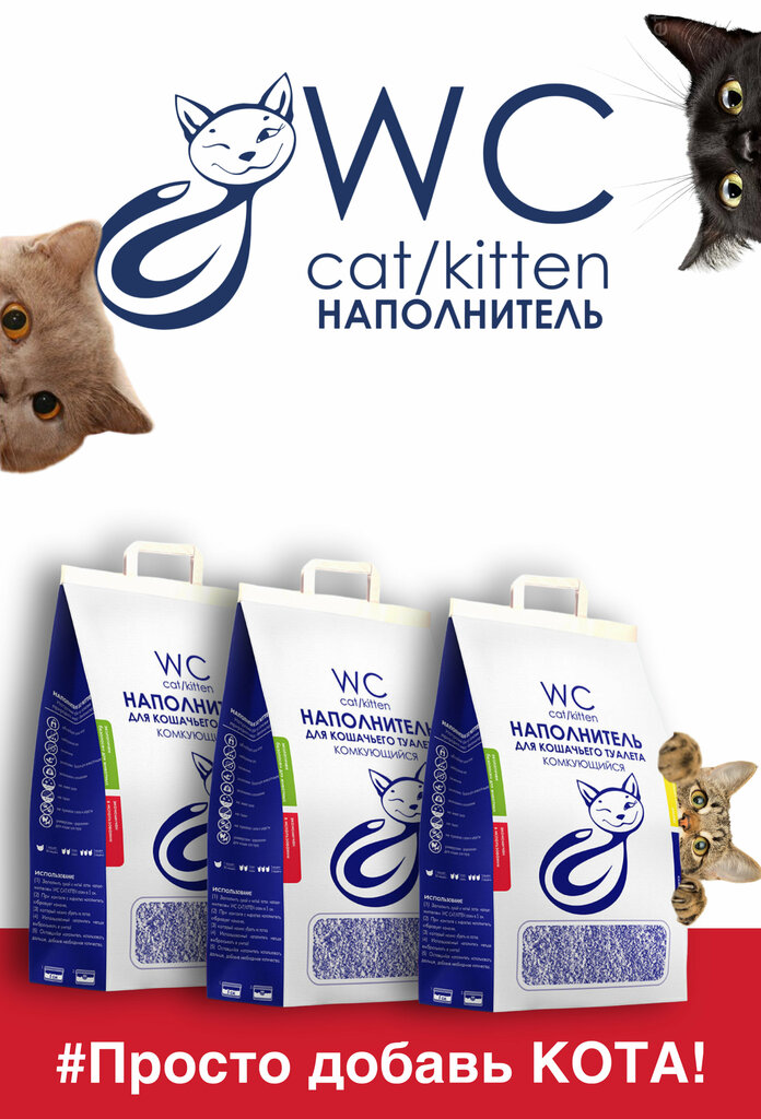 Petshop Wc Cat-kitten, Tümen (Tiumenskaya) oblastı, foto