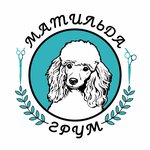 Matilda (Stepnaya ulitsa No:56), evcil hayvan kuaförleri  Engels'ten