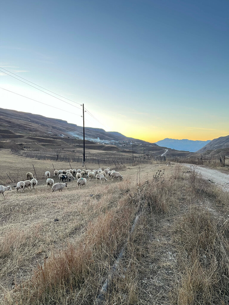 Ortaokul Цатанихская средняя общеобразовательная школа, Dağıstan, foto