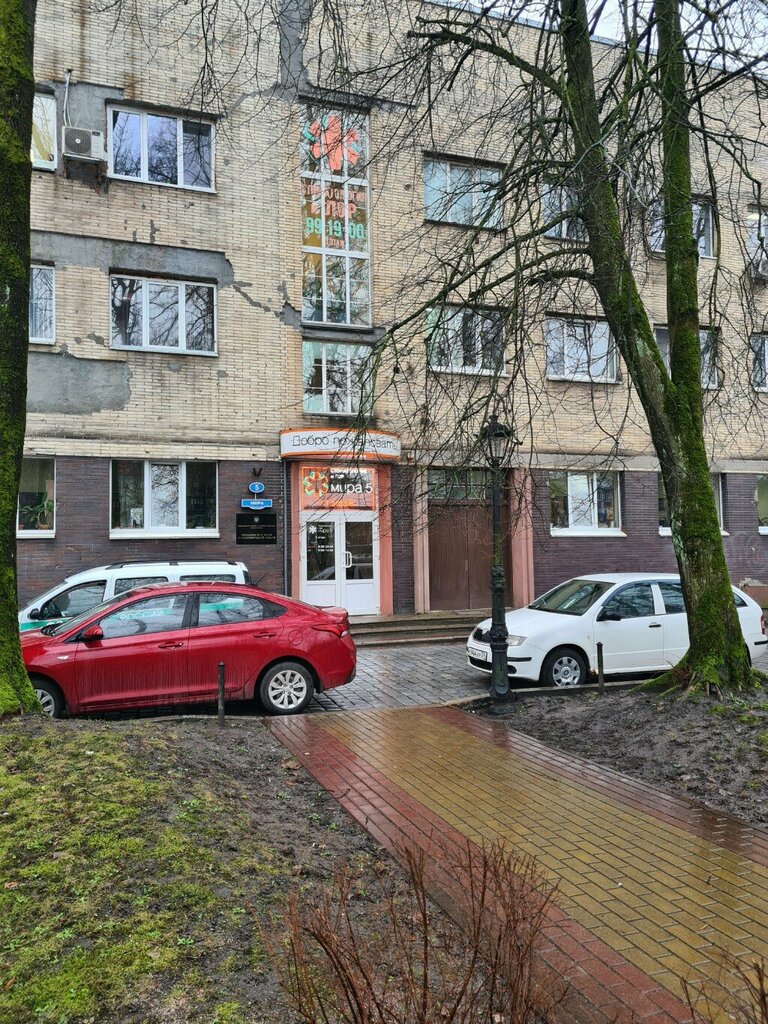 Adliye personeli Federal Bailiffs Service, Kaliningrad, foto