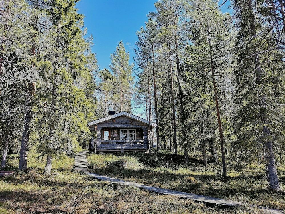 Otel Taiga School, Kuzey Ostrobothnia, foto
