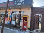 Qiwi (Bekzat Sattarhanov kóshesi No:6), ödeme terminali  Çimkent'ten (Şımkent'ten)