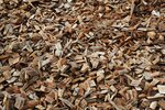 Asia Wood`s (Stroıtelnaıa kóshesi No:7), kereste üretim ve satış şirketleri  Bulayev'den (Bulayevo'dan)