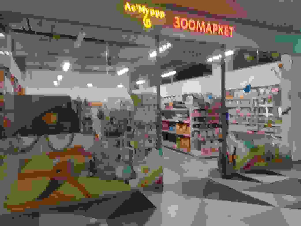 Petshop Cats & Dogs, Yekaterinburg, foto