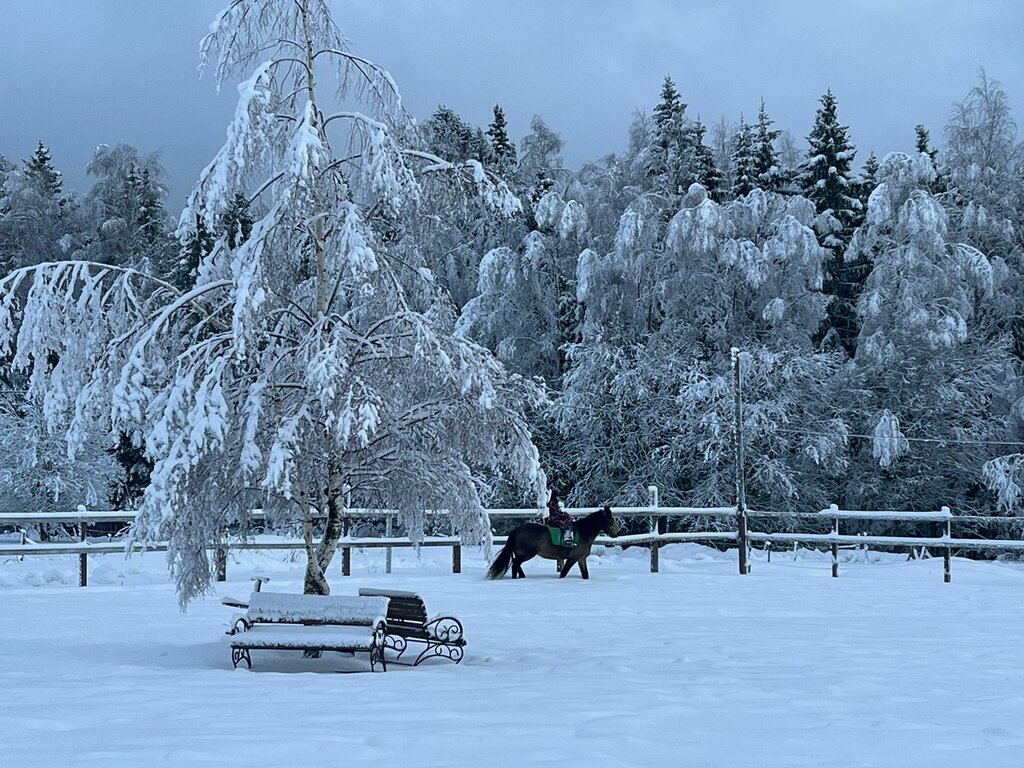 At ve binicilik kulüpleri Манеж, Vladimirskaya oblastı, foto