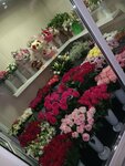 Цветы (ulitsa Lenshosse No:1, posyolok pri zheleznodorozhnoy stantsii Losevo), çiçekçiler  Saint‑Petersburg ve Leningradskaya oblastından
