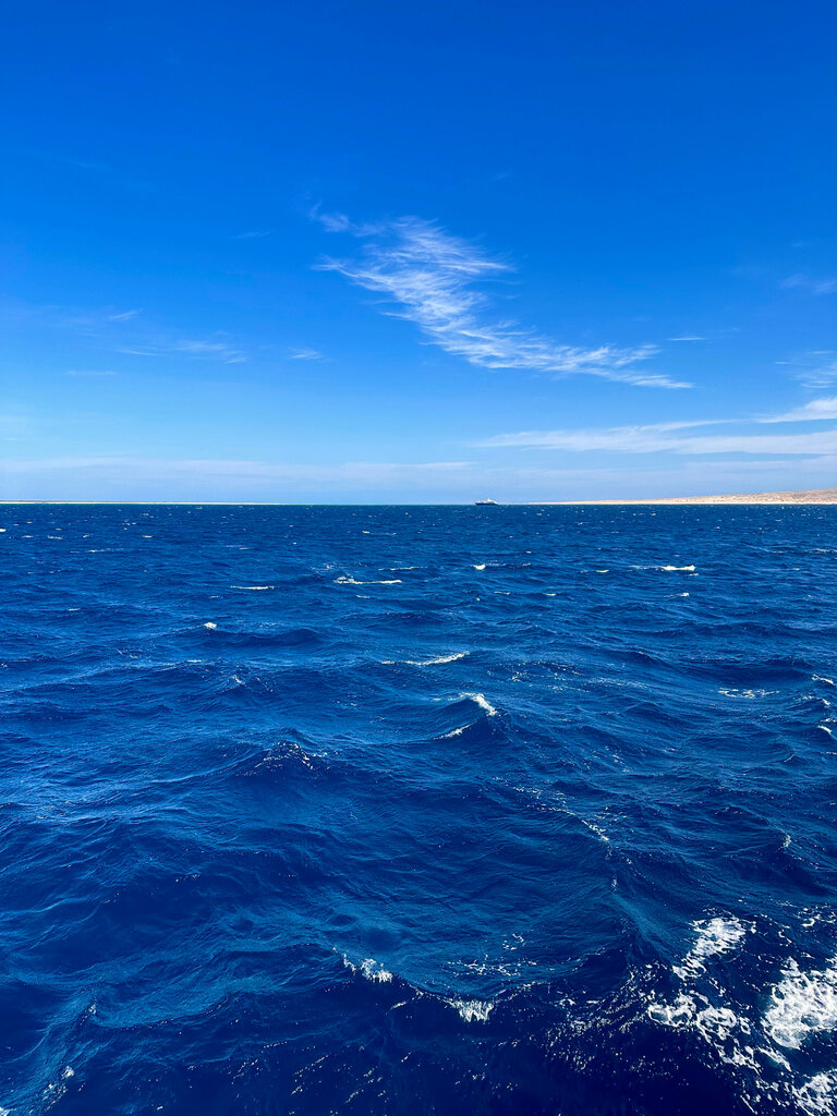 Seyahat acenteleri Royal Travels, Ulyanovsk, foto