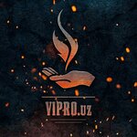 Vipro (Fayzli Street No:5), soba, şömine  Taşkent'ten