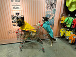 Petfabrikası (İstanbul, Arnavutköy, Fatih Cad., 437), petshop  Arnavutköy'den