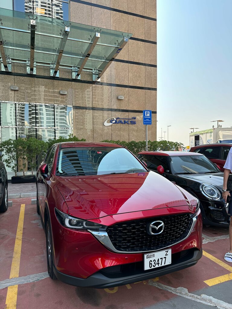 Oto kiralama Alfa Rent Car, Krasnodar, foto