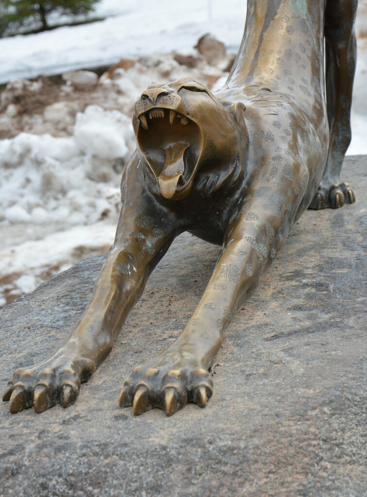 Park, sokak heykeli Гепард, Saint‑Petersburg, foto